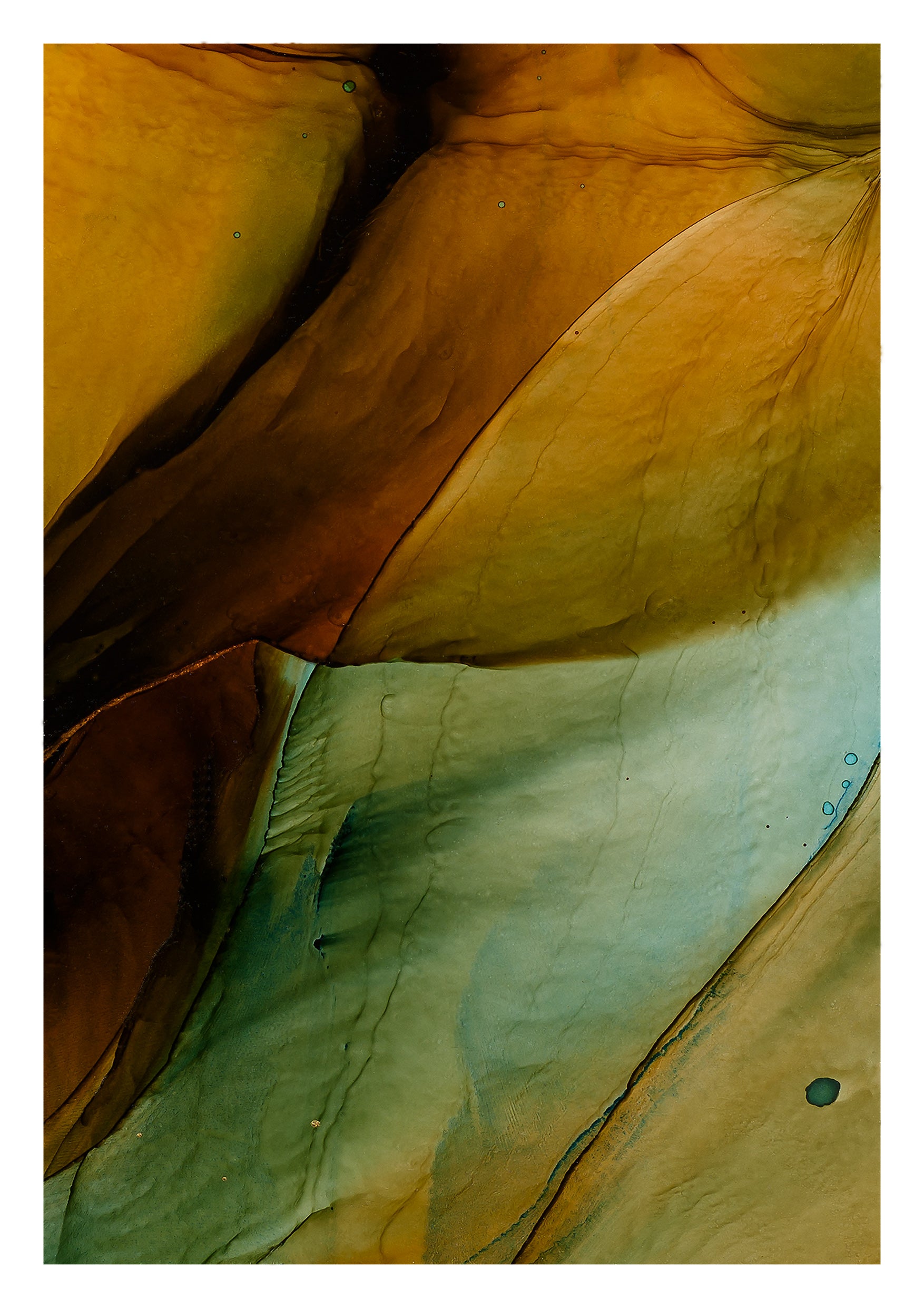 Print #3 – Anna Frances